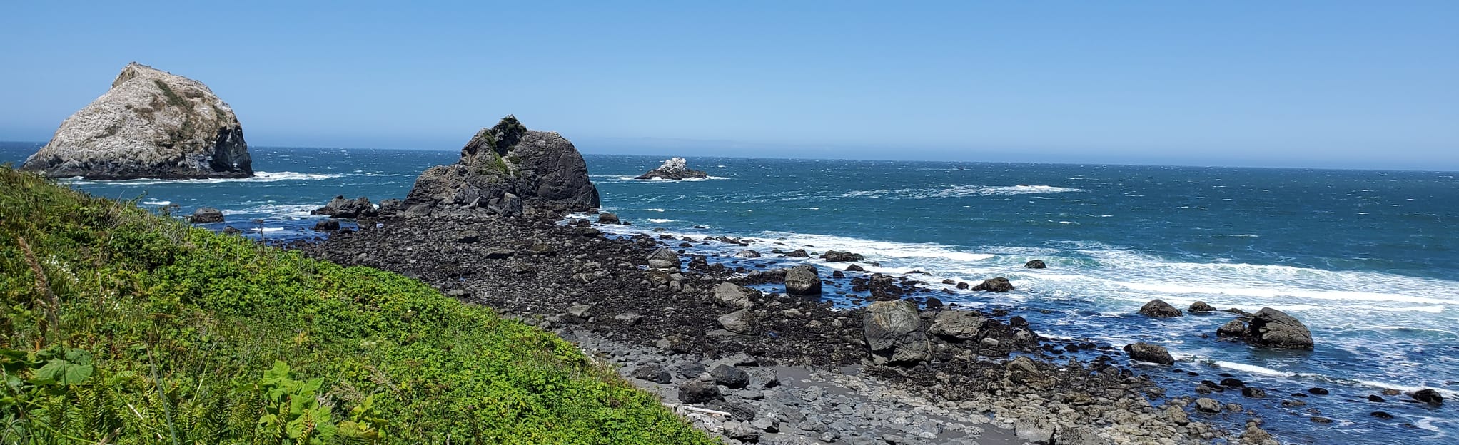 Yurok Loop Trail: 175 Reviews, Map - California | AllTrails