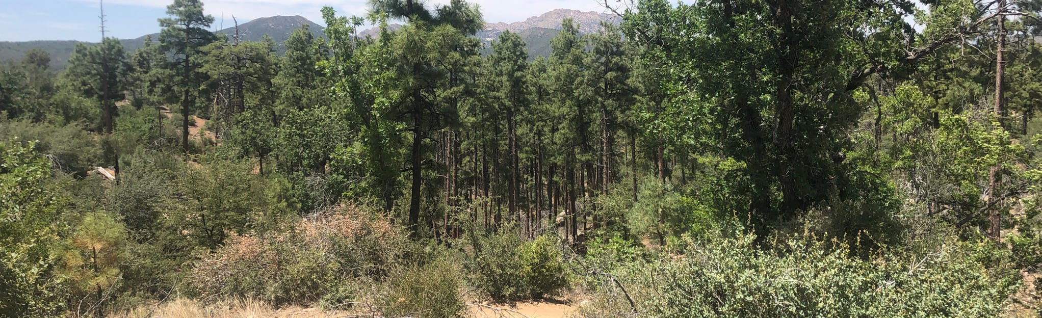 Fireplace Spring via 318 West, 332 Javelina and 325 Firewater Trail ...