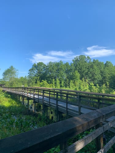 Best Hikes and Trails in Great Swamp National Wildlife Refuge | AllTrails