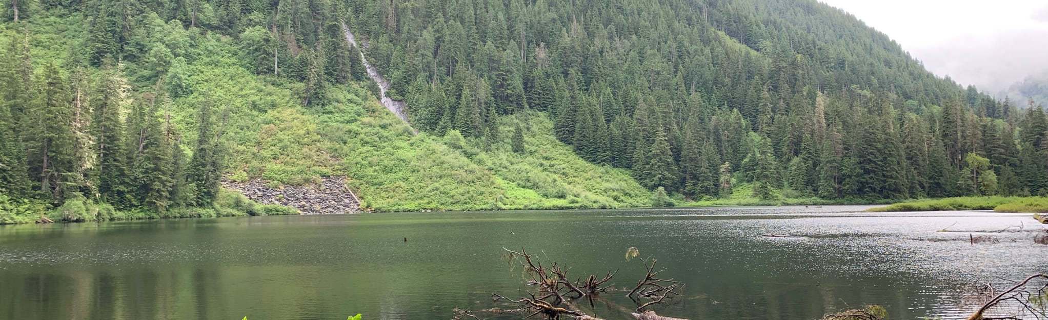Sunday Lake Trail: 7 Reviews, Map - Washington | AllTrails