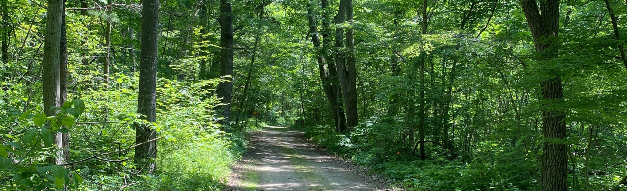 Harrison Trail, Ontario, Canada - 66 Reviews, Map | AllTrails