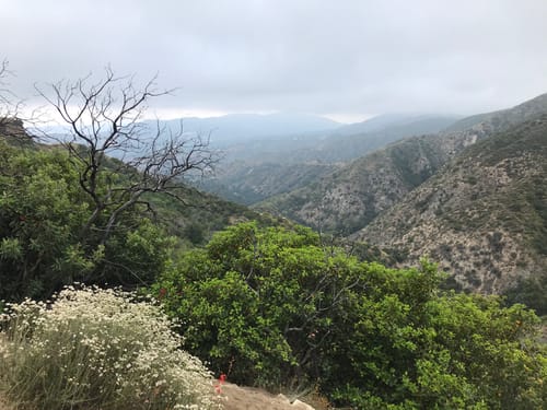 2023 Best 10 Trails and Hikes in Altadena | AllTrails