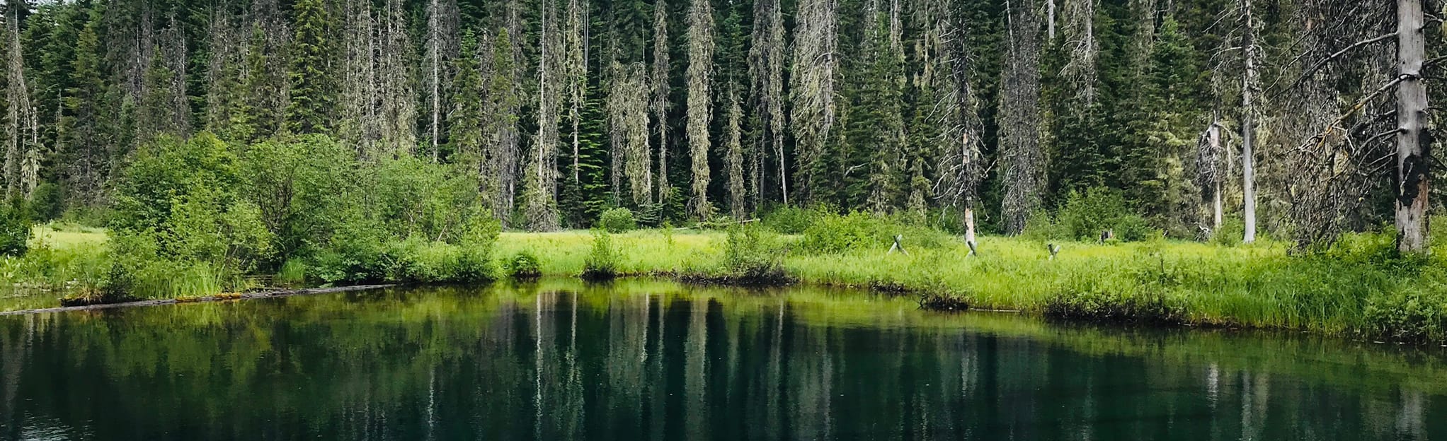 Little Crater Lake to Timothy Lake Campground | Map, Guide - Oregon ...