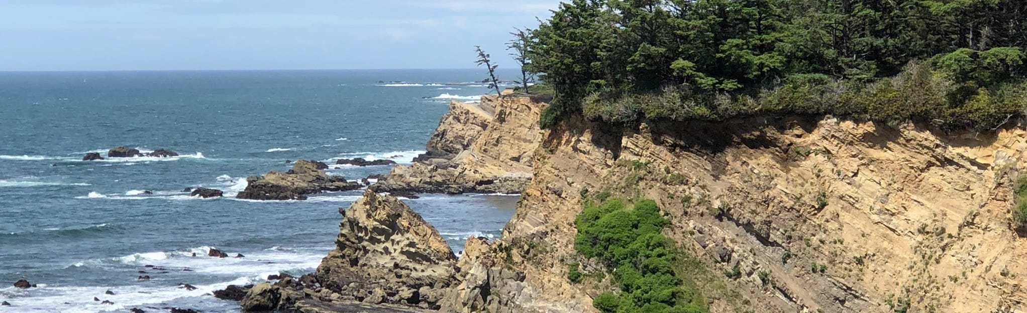 Cape Arago to Shore Acres Loop, Oregon - 71 Reviews, Map | AllTrails