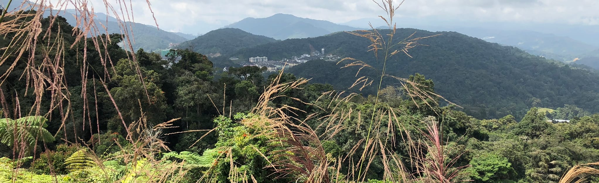 Cameron Valley Tea House via Trail 6 and 10, Pahang, Malaysia - 43 ...