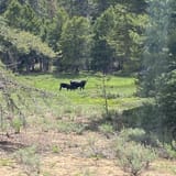 Olancha Peak, California - 45 Reviews, Map | AllTrails