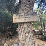 Olancha Peak, California - 45 Reviews, Map | AllTrails