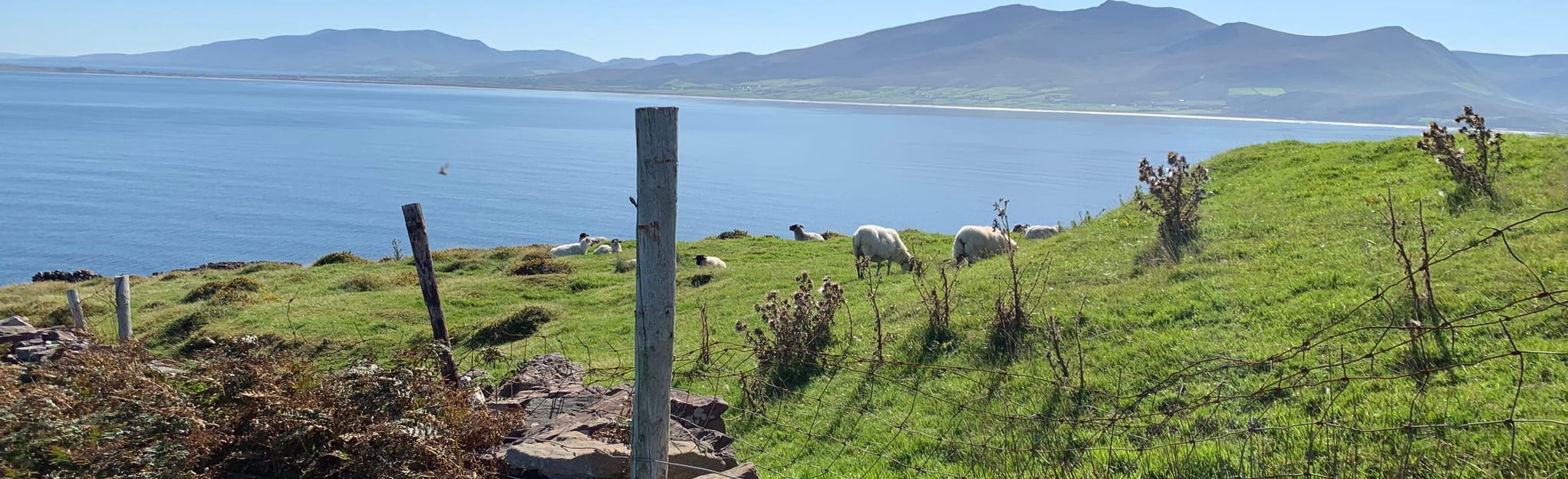 Brandon Point and Bookeen Loop, County Kerry, Ireland - 31 Reviews, Map ...