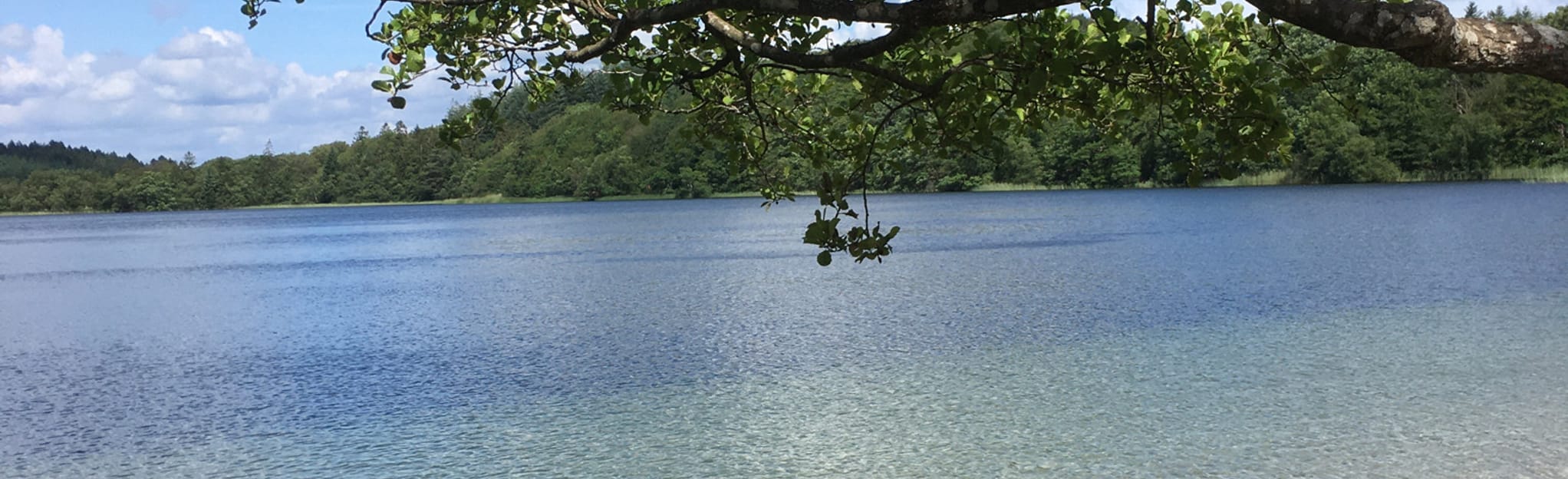 Ørnsø - Almind Sø - Vejlsø - Vejlbo Mose, Central Denmark Region ...