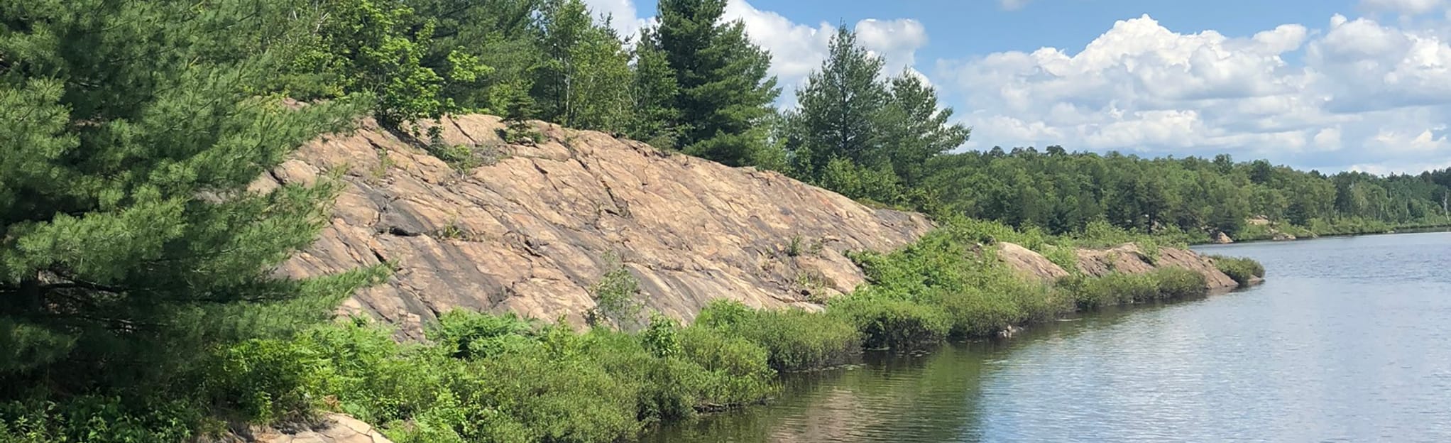 Point Trails Loop: 157 Reviews, Map - Ontario, Canada | AllTrails