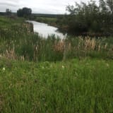 Wyndham Carseland Campground Loop Trail, Alberta, Canada - 65 Reviews ...