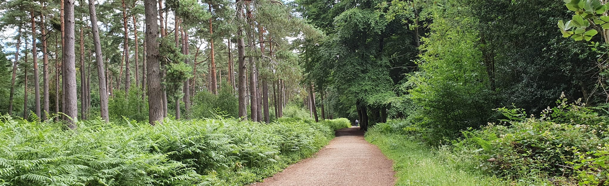 Great Bookham and Chilworth Circular: 12 Reviews, Map - Surrey, England ...