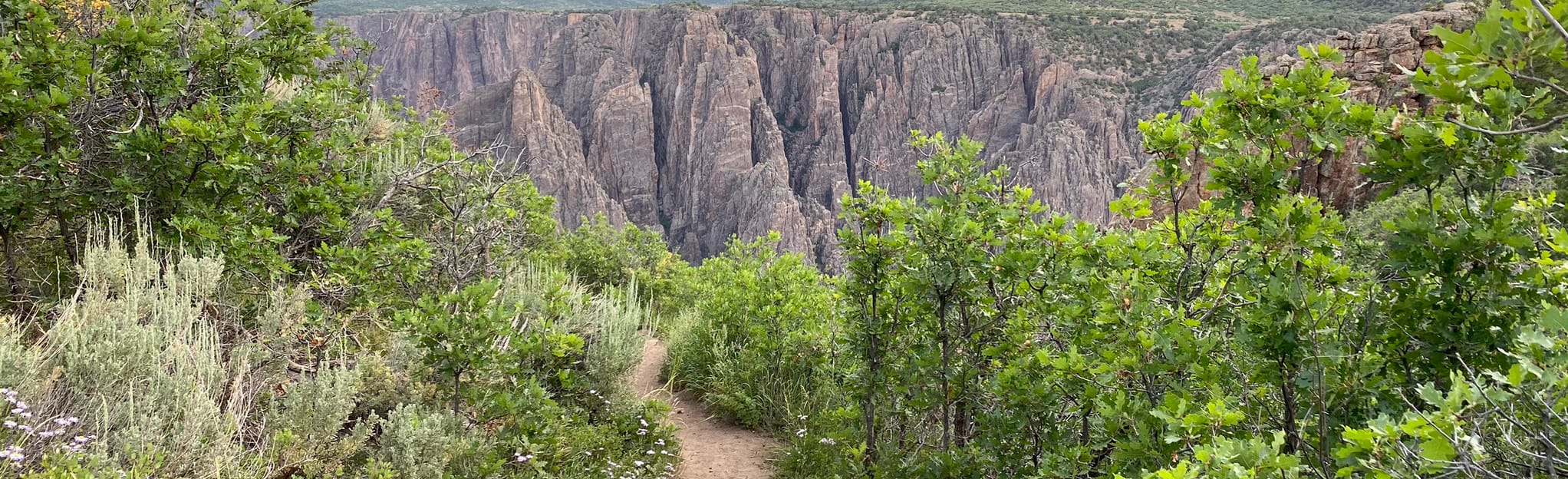 Oak Flat Loop Trail, Colorado - 968 Reviews, Map | AllTrails