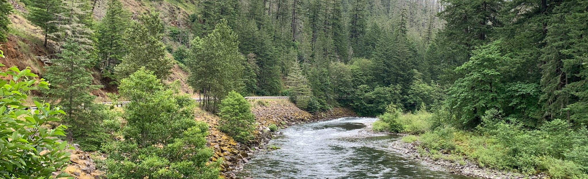 Memaloose and Clackamas Falls, Oregon - 527 Reviews, Map | AllTrails