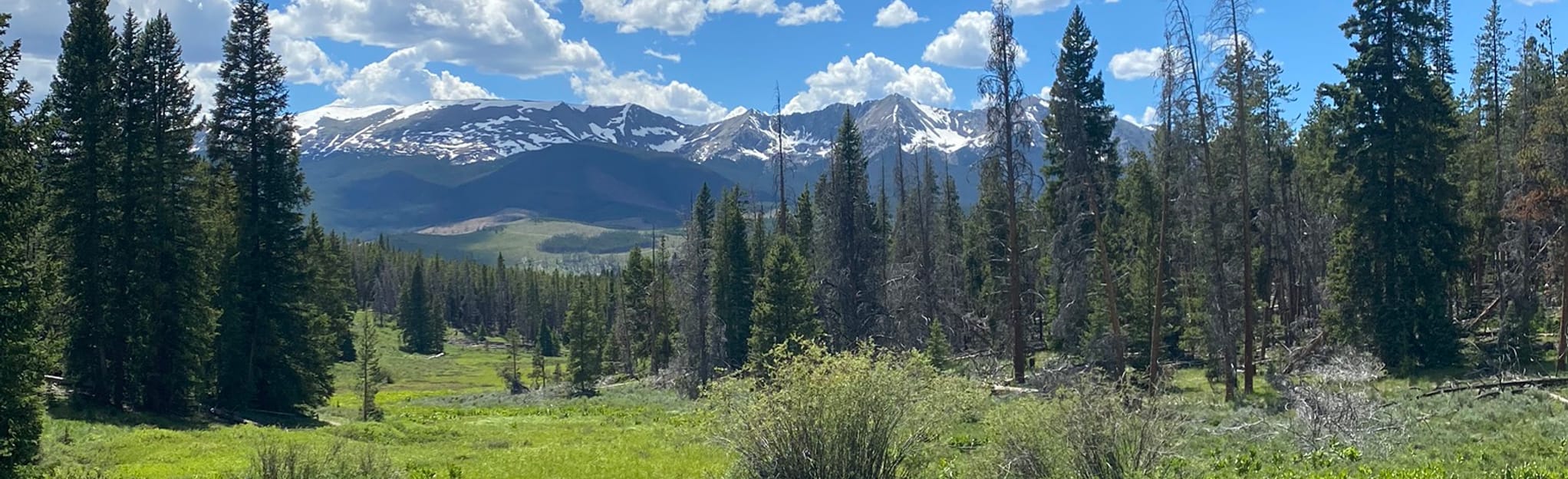 Colorado Trail, Hippo Trail, and Campion Trail Loop, Colorado - 503 ...