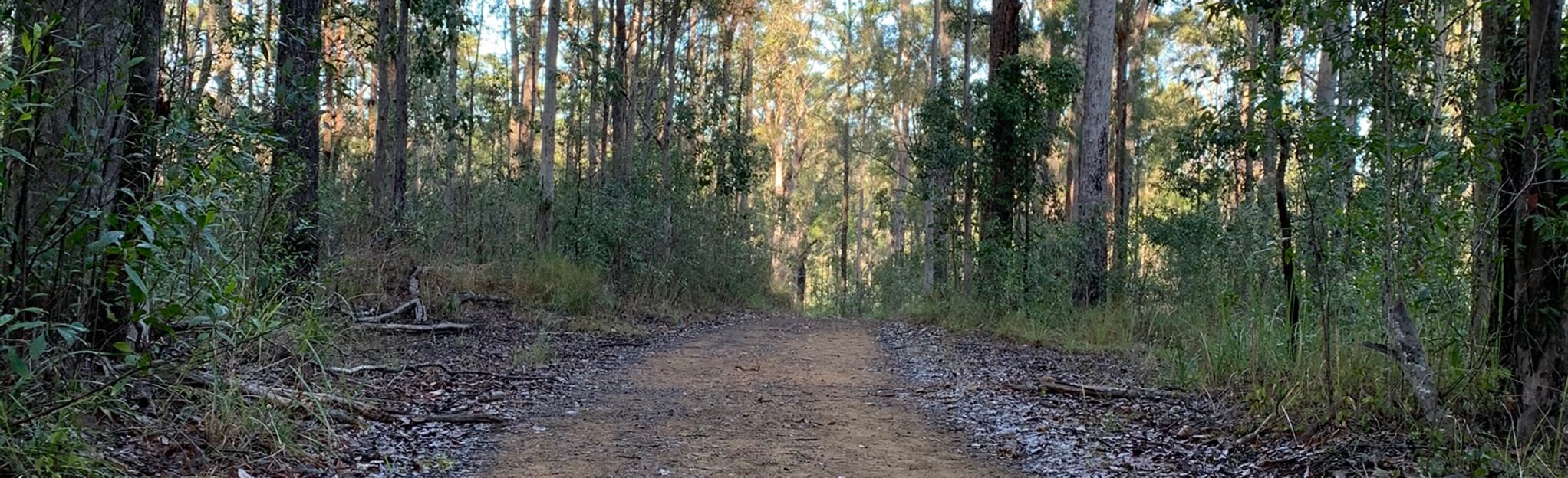 Pages Loop via Springbrook Road: 119 Reviews, Map - Queensland ...