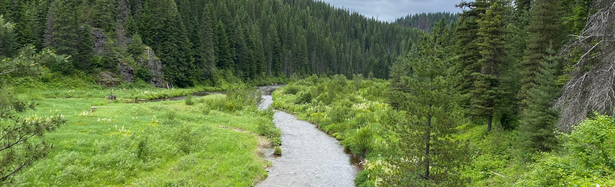 Coeur d'Alene River National Recreation Trail | Map, Guide - Idaho ...