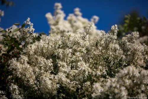 10 Best Easy Trails in Har Meron Nature Reserve | AllTrails