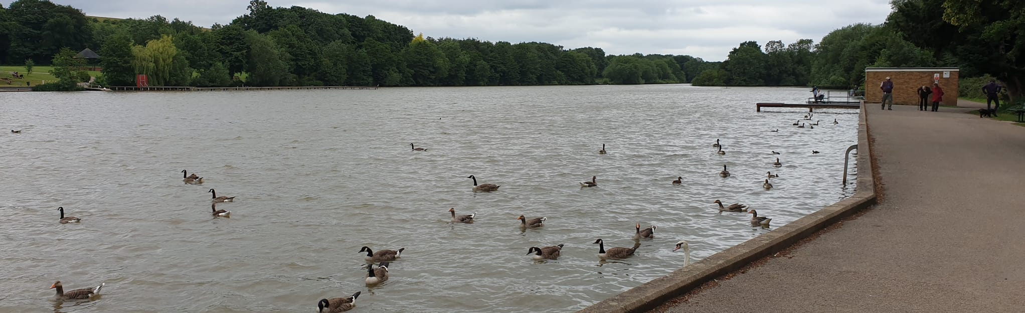 Langold Lake and Cariton in Lindrick Circular - South Yorkshire ...