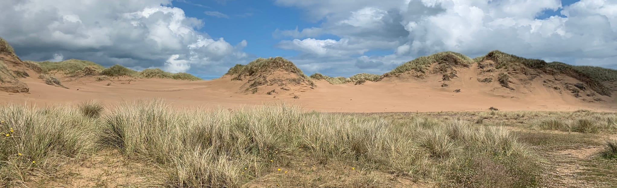 Hackley Bay Loop, Aberdeenshire, Scotland - 38 Reviews, Map | AllTrails