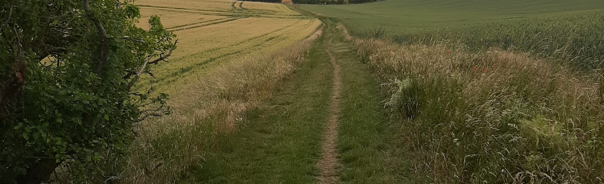 Ipsden Circular via Grim's Ditch: 32 Reviews, Map - Oxfordshire ...