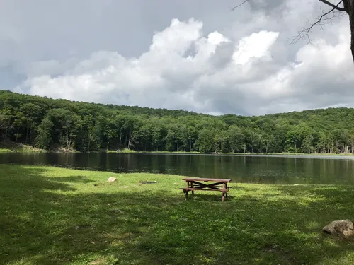 10 Best Hikes and Trails in October Mountain State Forest | AllTrails