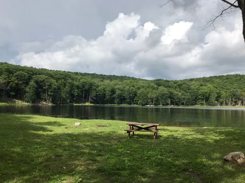 Best 10 Hikes and Trails in October Mountain State Forest | AllTrails
