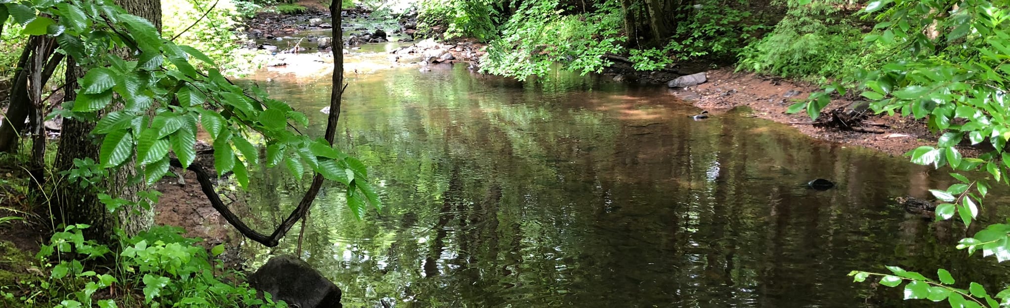 Bittner Park Loop | Map, Guide - Connecticut | AllTrails