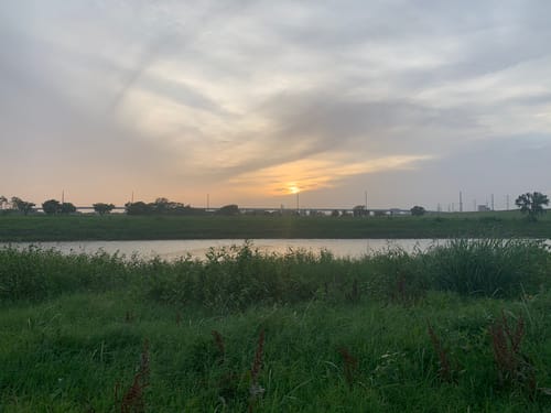 Best Hikes and Trails in Trammell Crow Park | AllTrails