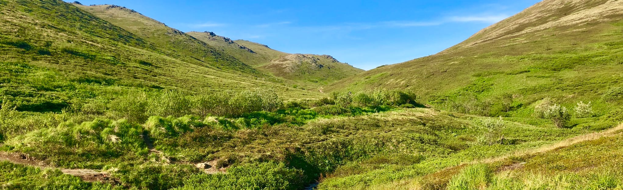 Arctic Valley Bridge Loop, Alaska - 72 Reviews, Map | AllTrails