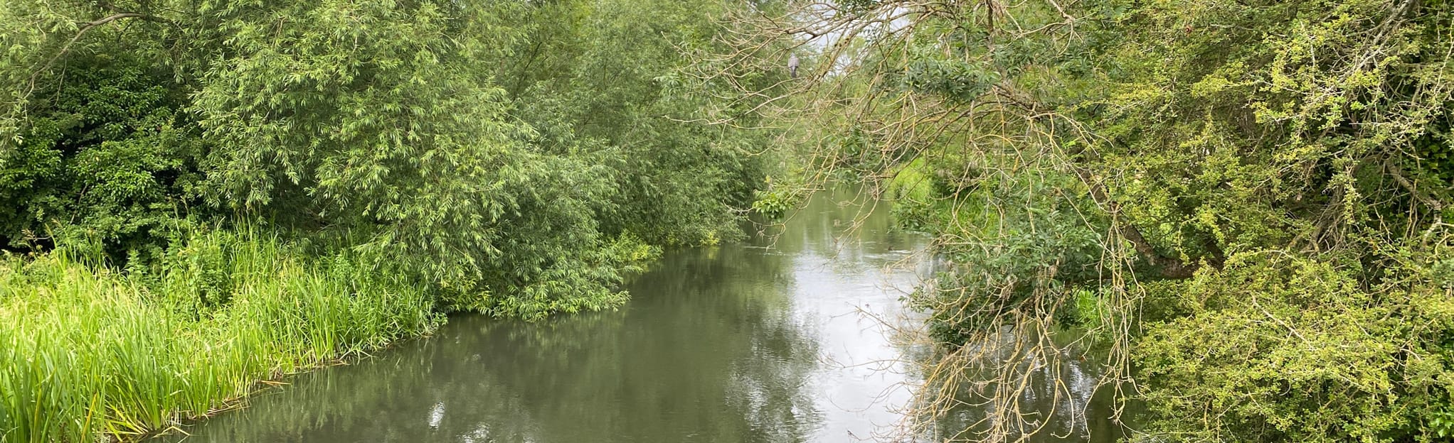 Greenham & Crookham Commons, Berkshire, England - 35 Reviews, Map ...