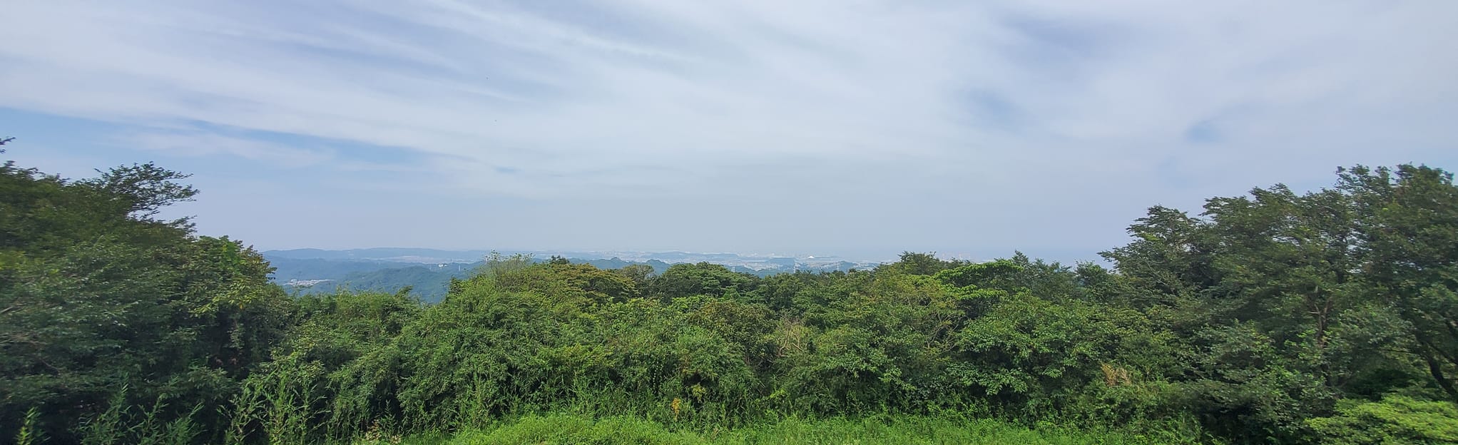 Mount Futago Hiking Course, Kanagawa, Japan - 19 Reviews, Map | AllTrails