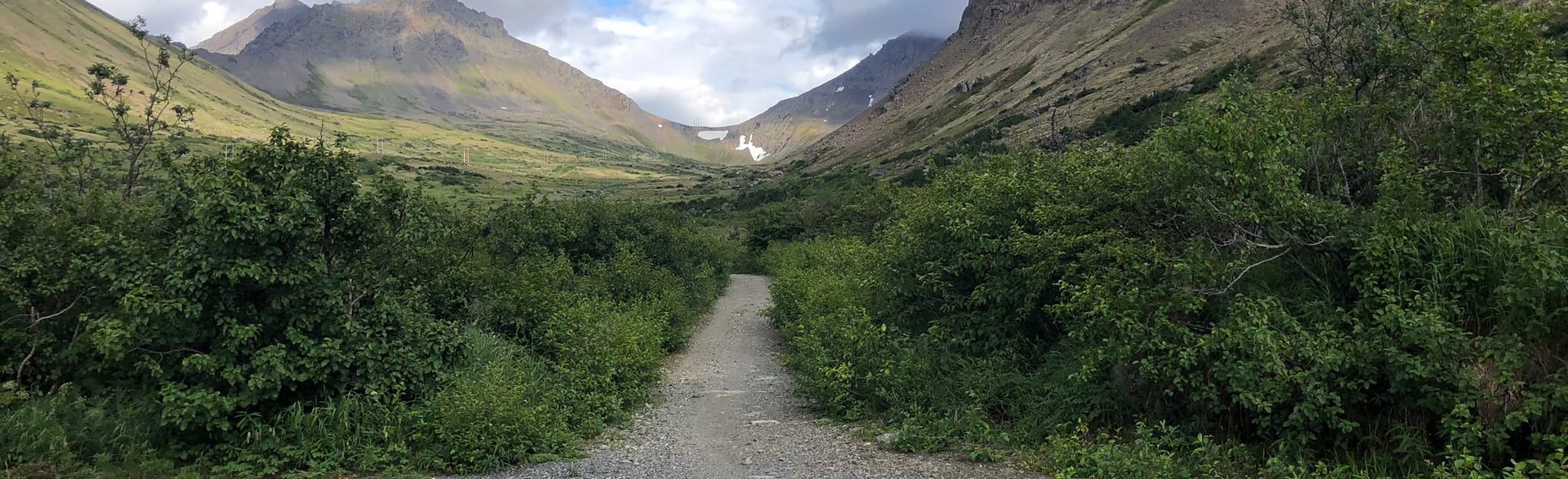 Powerline Pass Trail: 206 Reviews, Map - Alaska | AllTrails