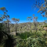 Kalamunda to Mundaring Walk, Western Australia, Australia - 56 Reviews ...