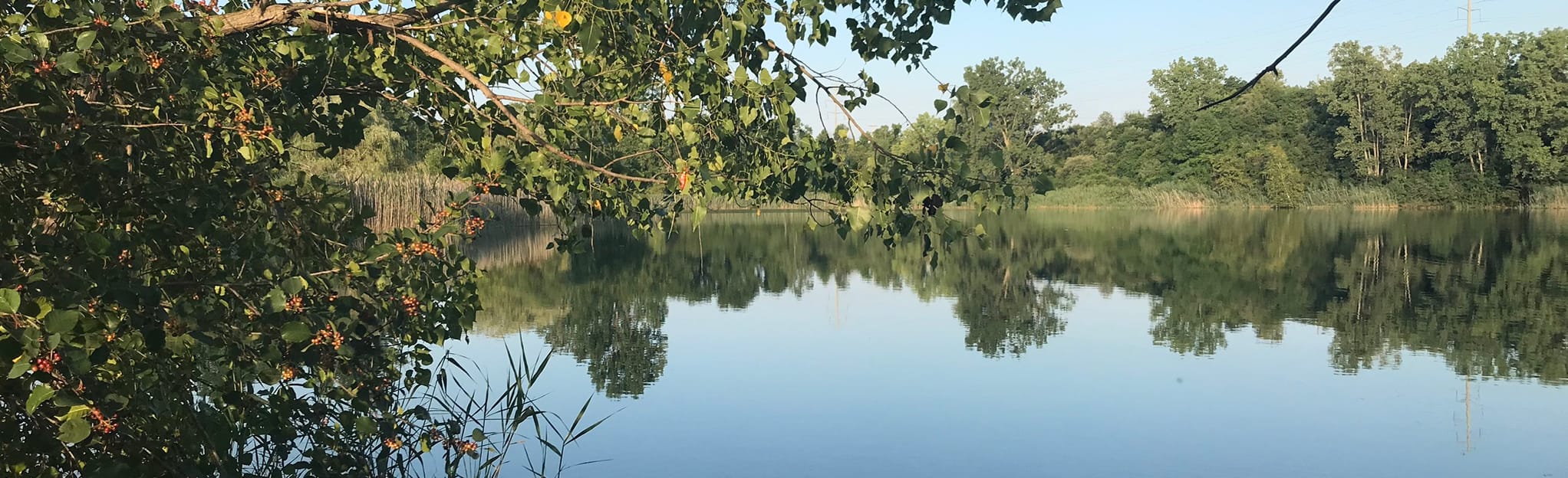 Lillie Park North Trail, Michigan - 64 Reviews, Map | AllTrails