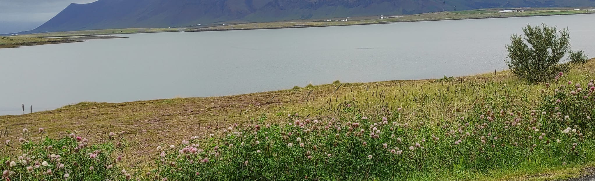 Mosfellsbær - Grafarvogur: 26 Reviews, Map - Capital, Iceland | AllTrails
