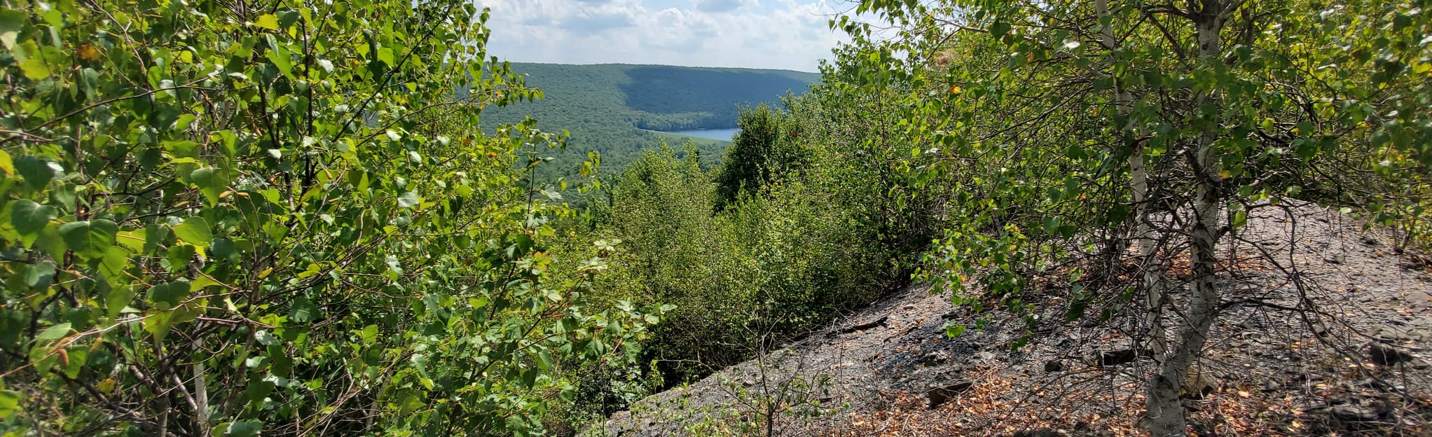 Switchback, Lung Buster, and Cabin Ridge Trail Loop, 58 Photos ...