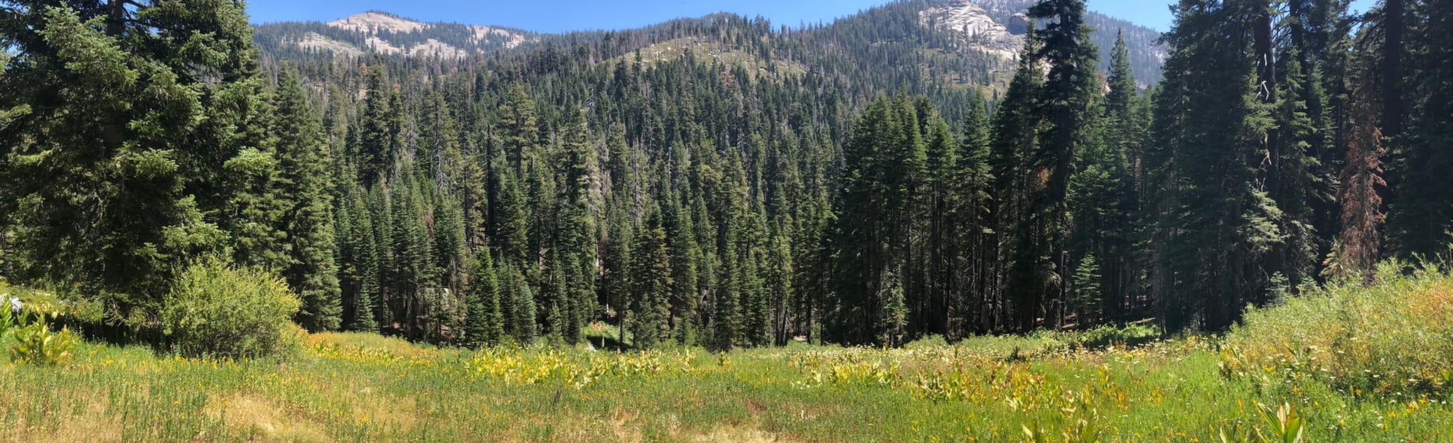 Shake Camp and the Tule River, California - 15 Reviews, Map | AllTrails