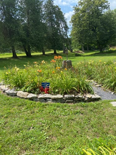 Best Hikes and Trails in Lilly Park | AllTrails