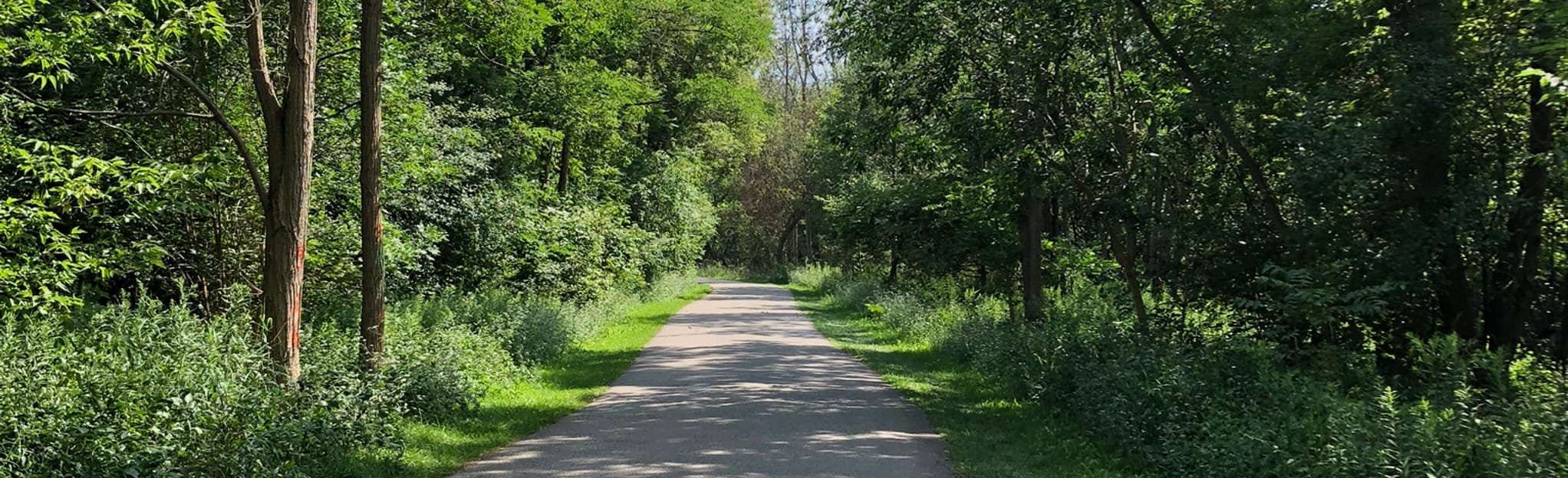 Newtonbrook Creek Pathway, Ontario, Canada - 399 Reviews, Map | AllTrails