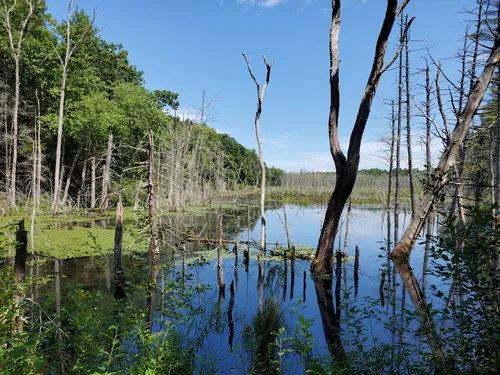 10 Best Trails and Hikes in Boxford | AllTrails