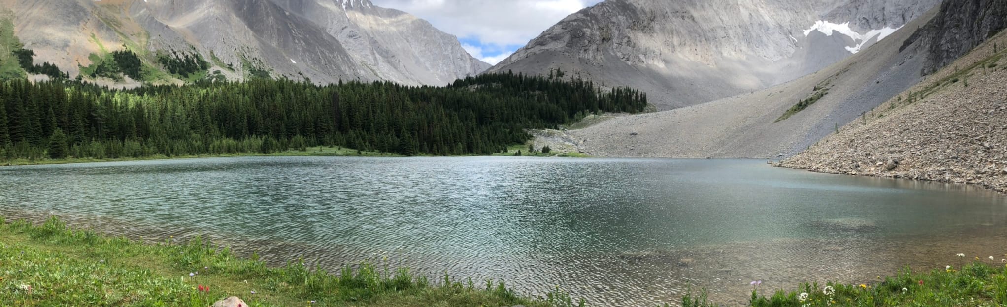Rummel Lake Trail | Mapa, Roteiro - Alberta, Canada | AllTrails