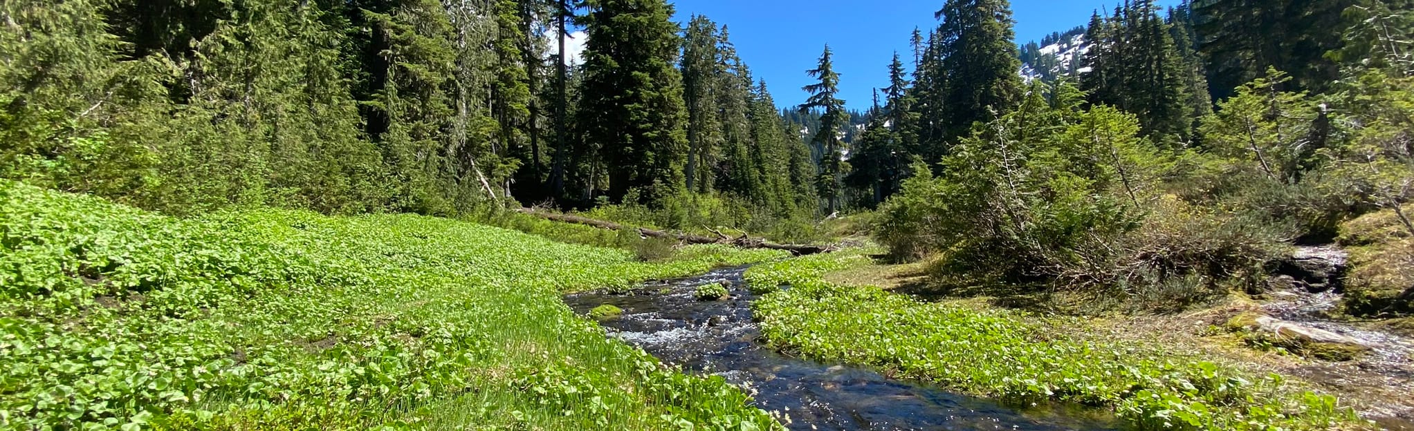 AllTrails | Meadow Mountain Trailhead to Crystal Lake Trail: 10 Reviews ...