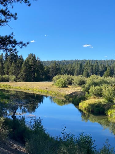 Best Hikes and Trails in Collier Memorial State Park | AllTrails