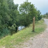 Ryton Pools Country Park Circular, West Midlands, England - 126 Reviews ...