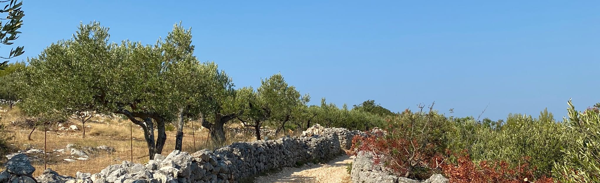 Sutivan - Uvala Likva - Mirca, Split-Dalmatia, Croatia - Map, Guide ...