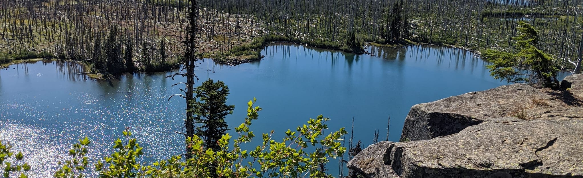 Three Fingered Jack Loop - Oregon | AllTrails