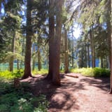 Thorp Lake via Thorp Creek Trail, Washington - 136 Reviews, Map | AllTrails