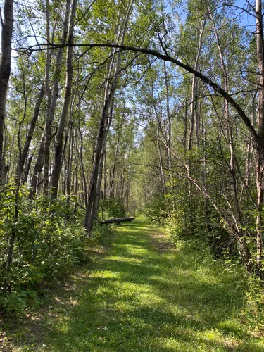 2023 Best 10 Trails, Walks, and Paths in Strathcona County | AllTrails