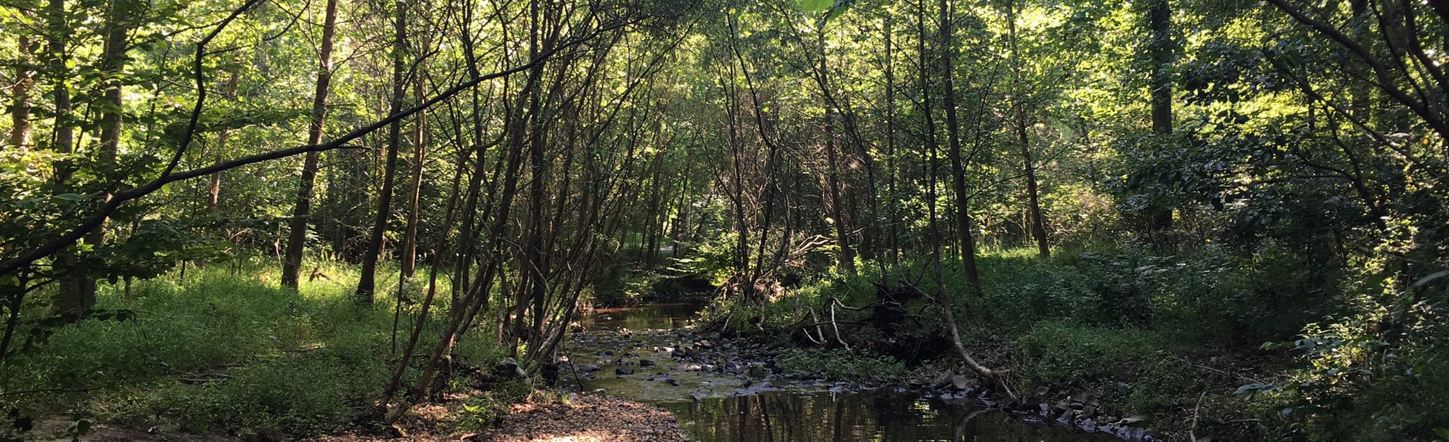 Reston Nature Center Loop, Virginia - 53 Reviews, Map | AllTrails